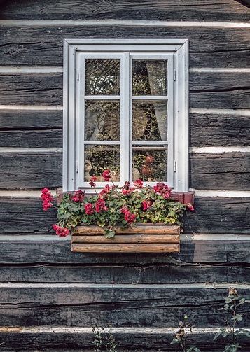 How to Case a Window - DIY | PJ Fitzpatrick