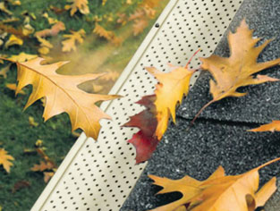 Gutter Photo Gallery | PJ Fitzpatrick