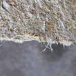 How to Identify Asbestos Siding - Do It Yourself | PJ Fitzpatrick