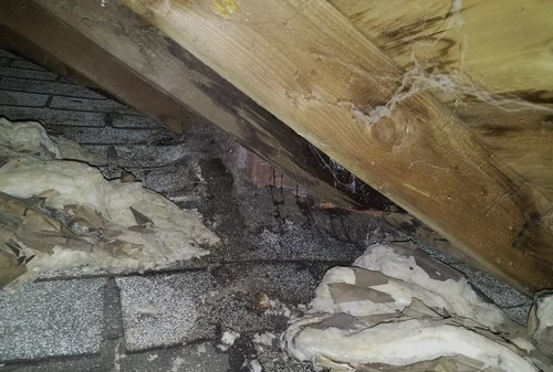 Emergency Roof Repair – Get Help Now | PJ Fitzpatrick