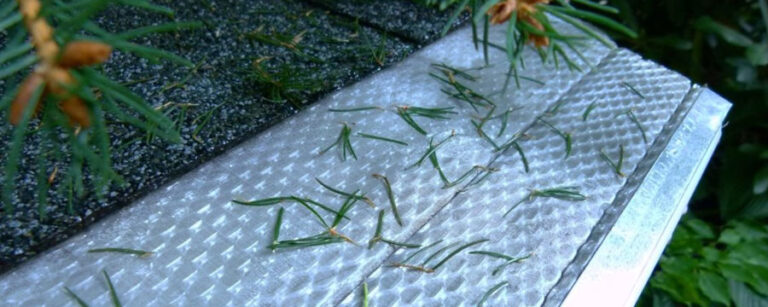 What Are the Best Gutter Guards for Pine Needles? | PJ Fitzpatrick