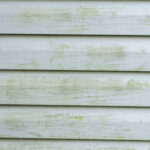 How to Remove Green Algae From Vinyl Siding - Do It Yourself | PJ Fitz
