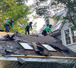 Recent Projects - PJ Fitzpatrick